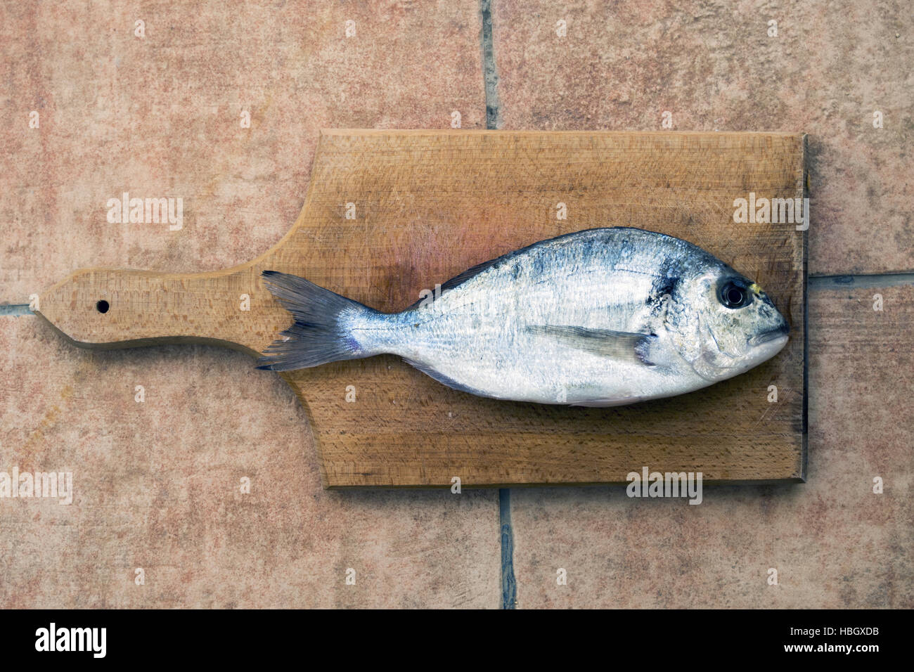 Dourada hi-res stock photography and images - Alamy