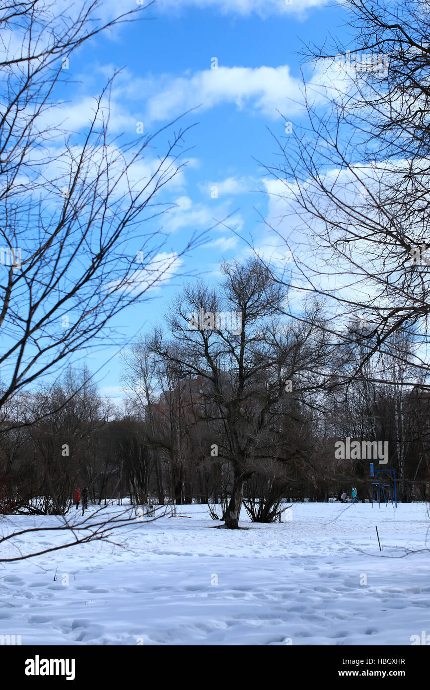 thaw spring lanscape tree Stock Photo - Alamy