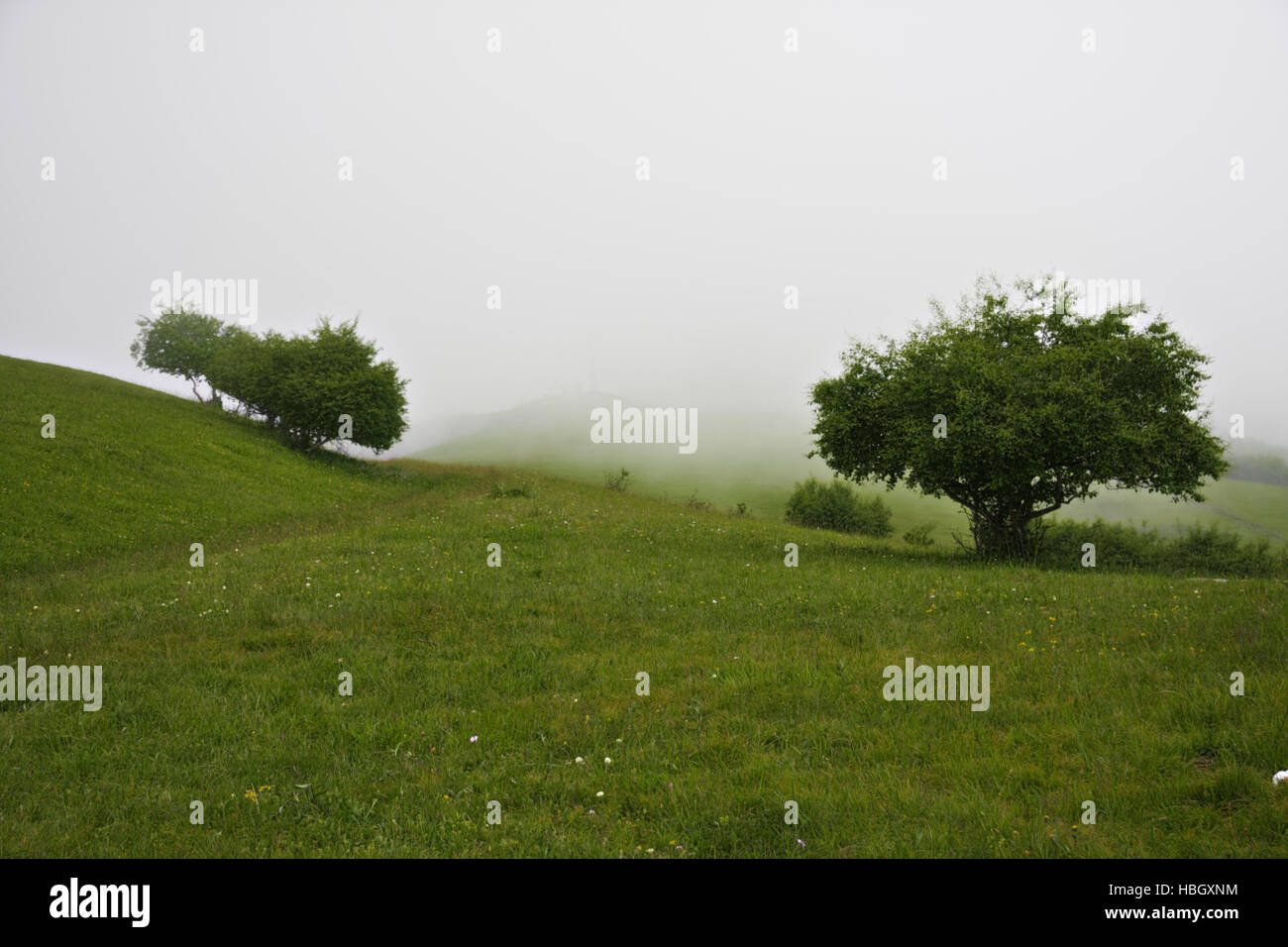 Dense fog hi-res stock photography and images - Alamy