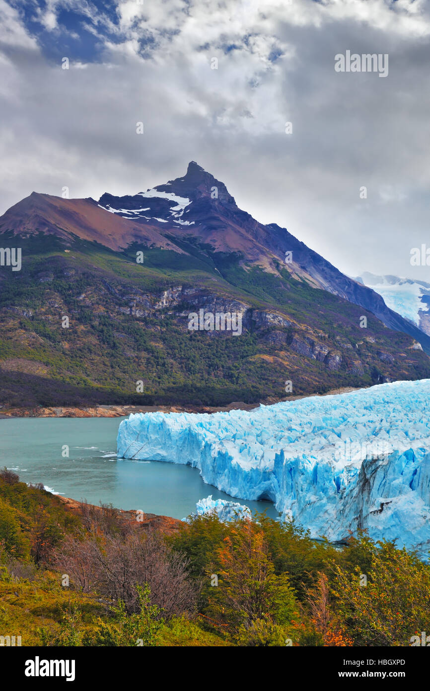 Park in Patagonia Stock Photo - Alamy