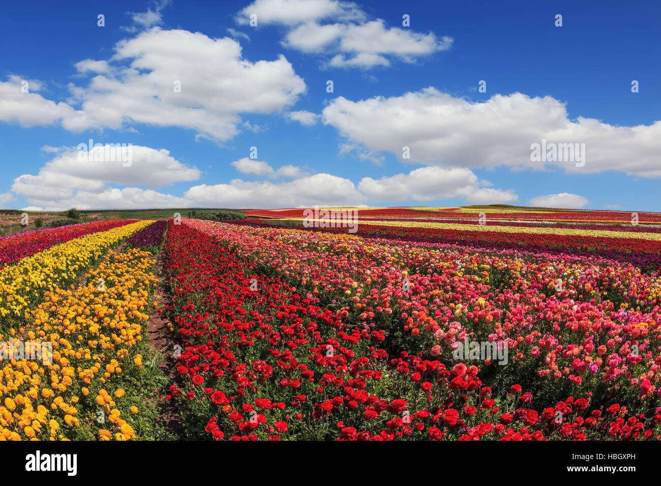 Farmer fields hi-res stock photography and images - Alamy