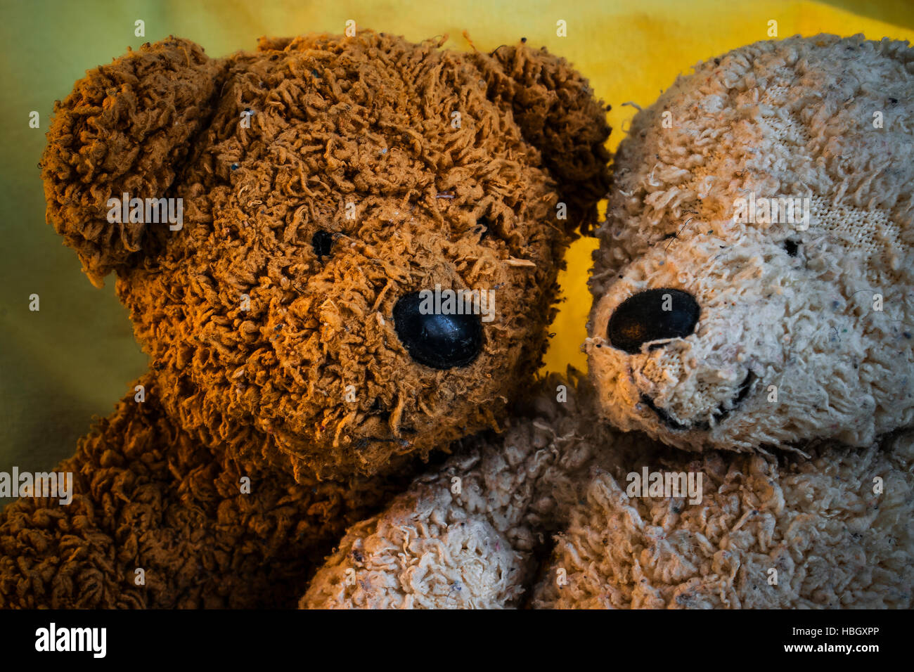 Teddy bears face hi-res stock photography and images - Alamy