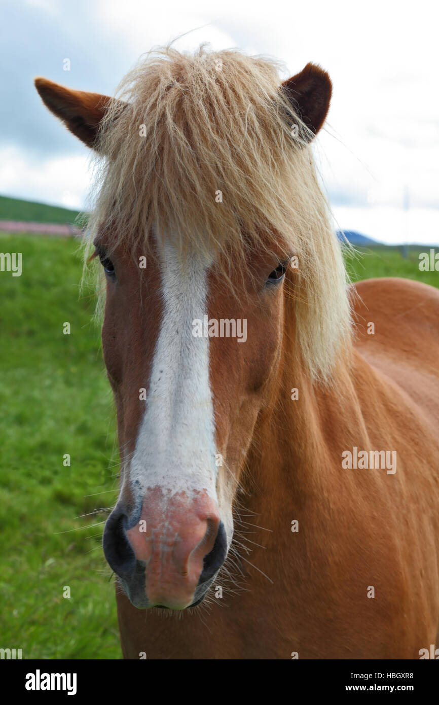 Red light scene hi-res stock photography and images - Alamy