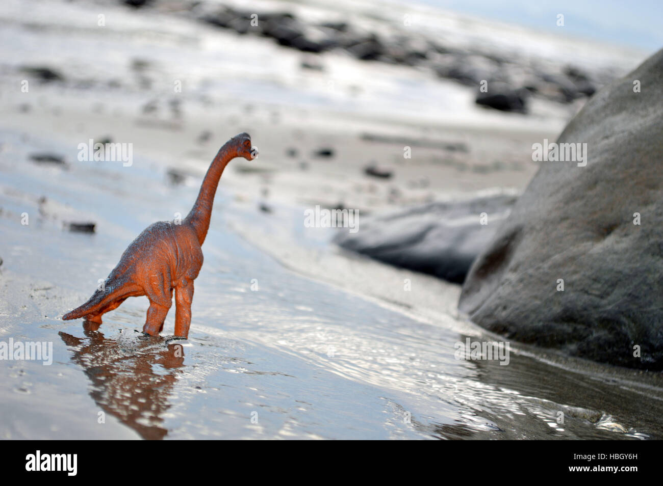 Dinosaur beach hi-res stock photography and images - Alamy