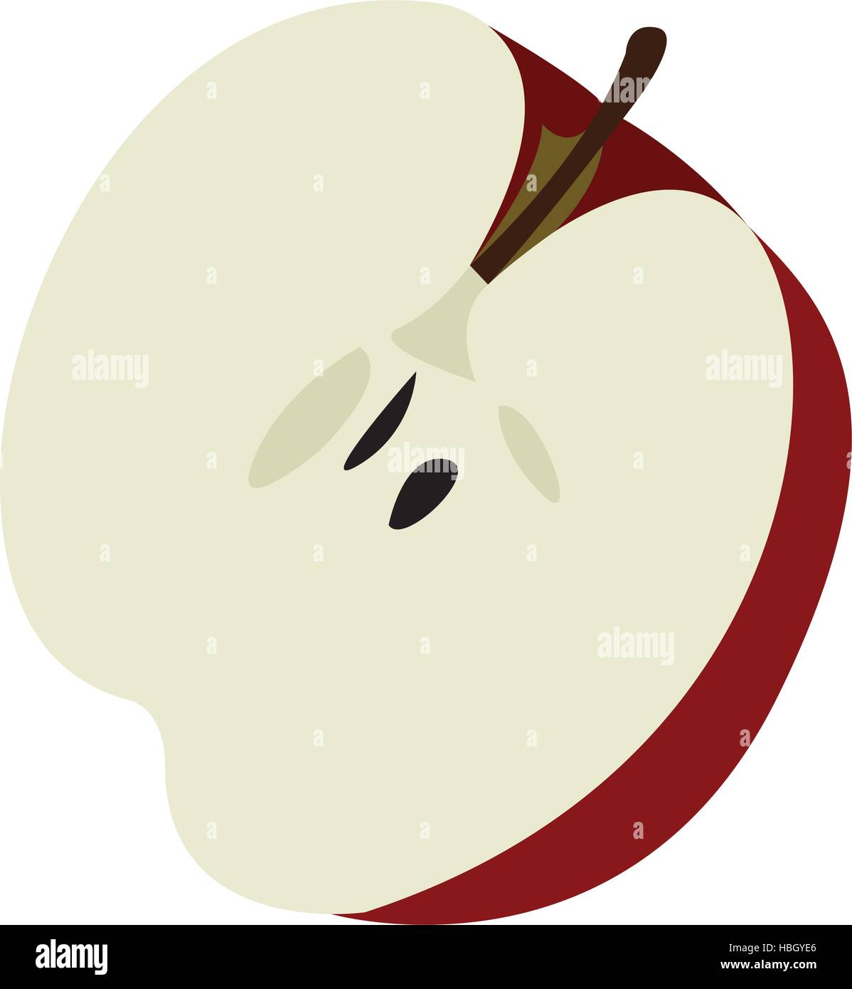 Isolated apple cut on a white background, Vector illustration Stock ...