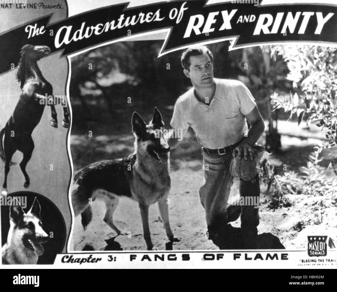 THE ADVENTURES OF REX AND RINTY, Rin Tin Tin, Kane Richmond, 1935 Stock ...