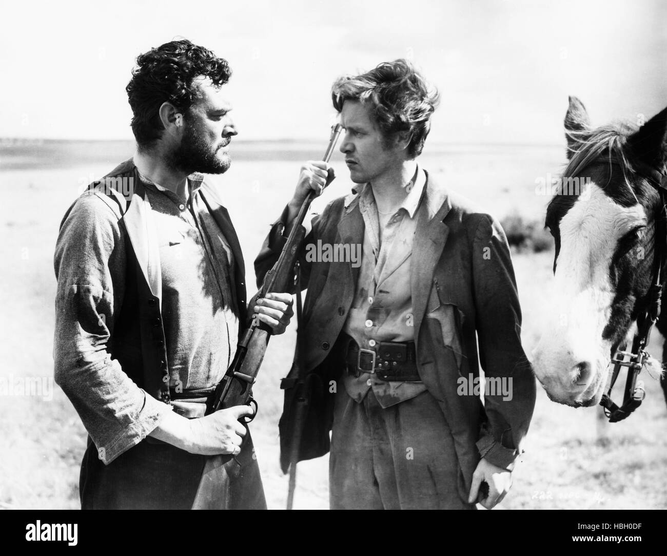 THE ADVENTURERS, (aka FORTUNE IN DIAMONDS), from left, Jack Hawkins ...