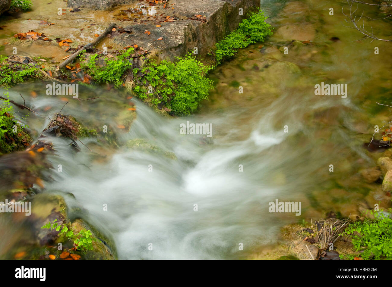 Doeskin Branch Creek cascade, Doeskin Ranch Unit-Balcones Canyonlands ...