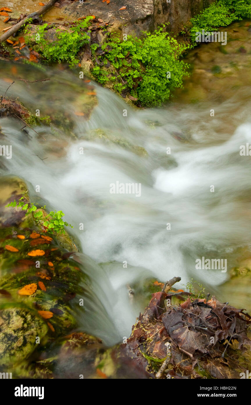 Doeskin Branch Creek cascade, Doeskin Ranch Unit-Balcones Canyonlands ...