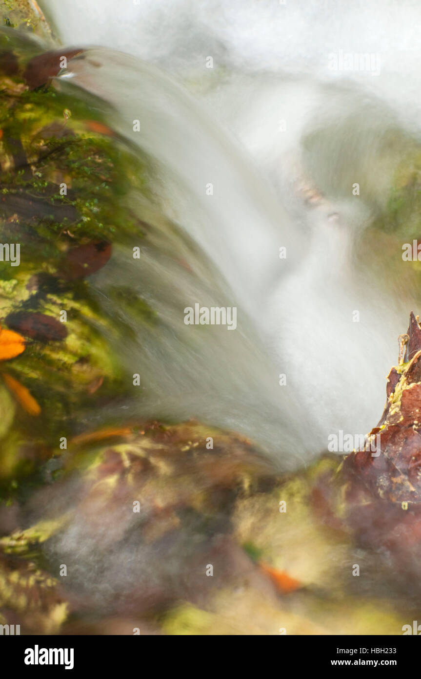 Doeskin Branch Creek cascade, Doeskin Ranch Unit-Balcones Canyonlands ...