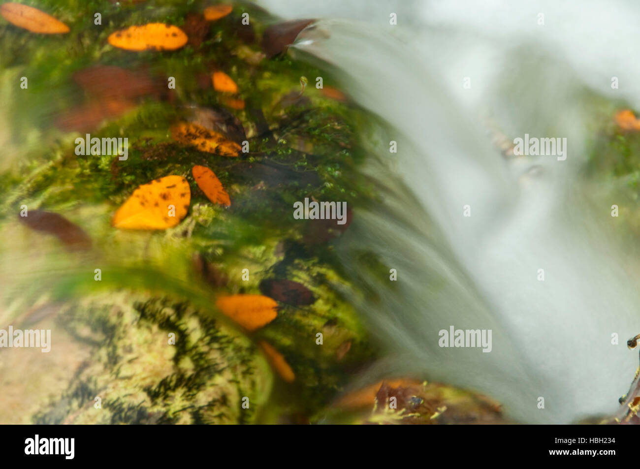 Doeskin Branch Creek cascade, Doeskin Ranch Unit-Balcones Canyonlands ...