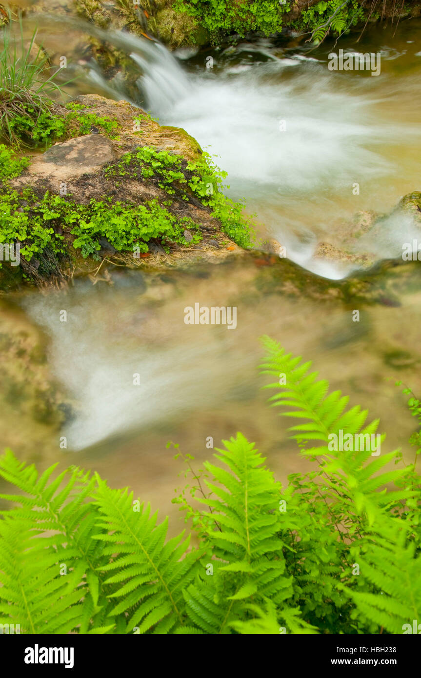 Doeskin Branch Creek cascade, Doeskin Ranch Unit-Balcones Canyonlands ...