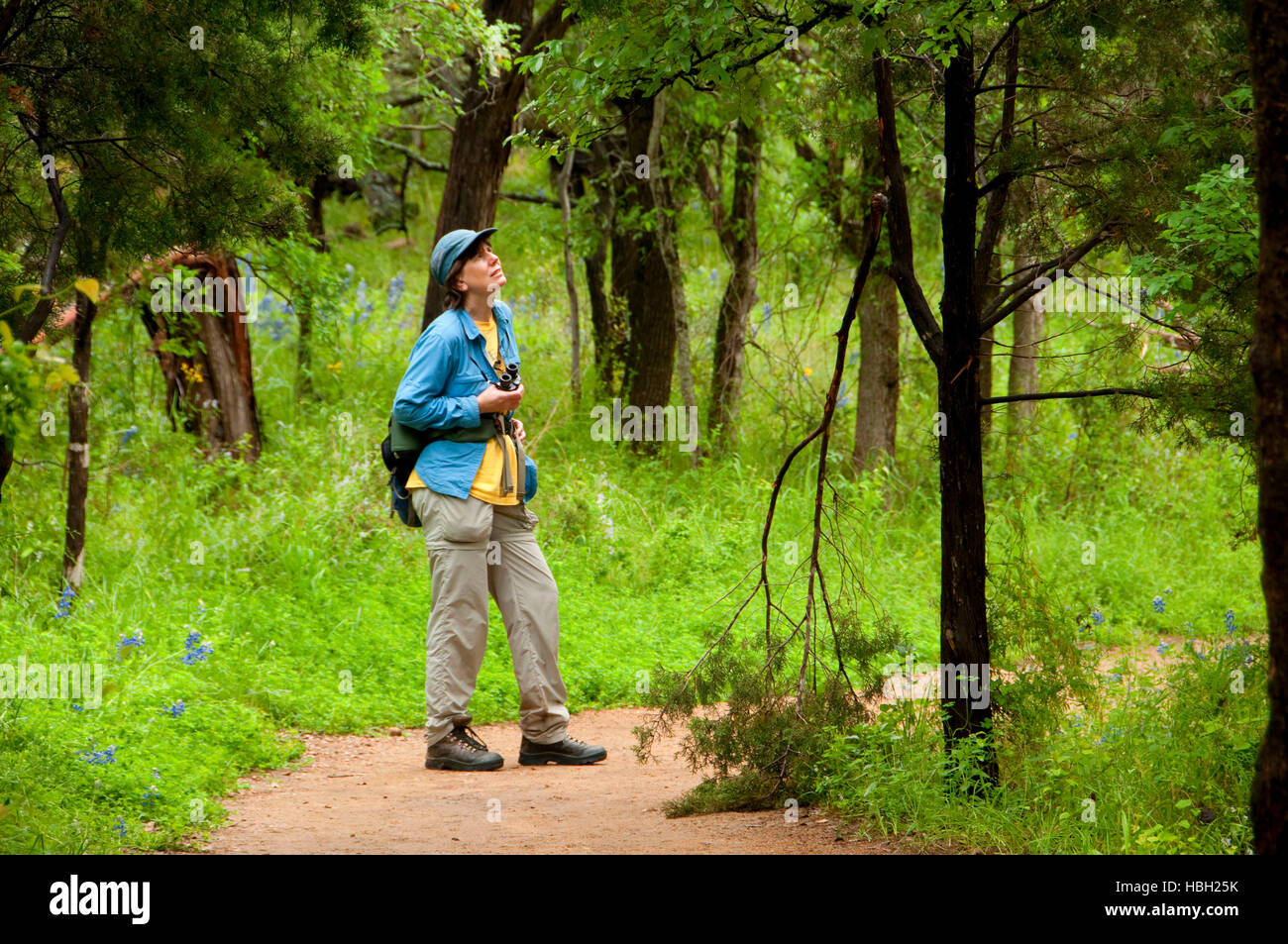 Hiking trail, Inks Lake State Park, Texas Stock Photo - Alamy