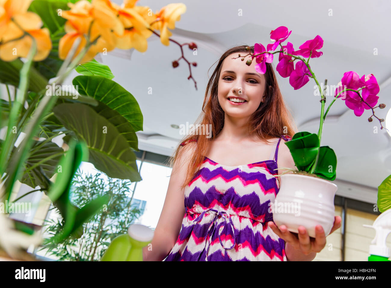 Young woman taking care of home plants Stock Photo - Alamy