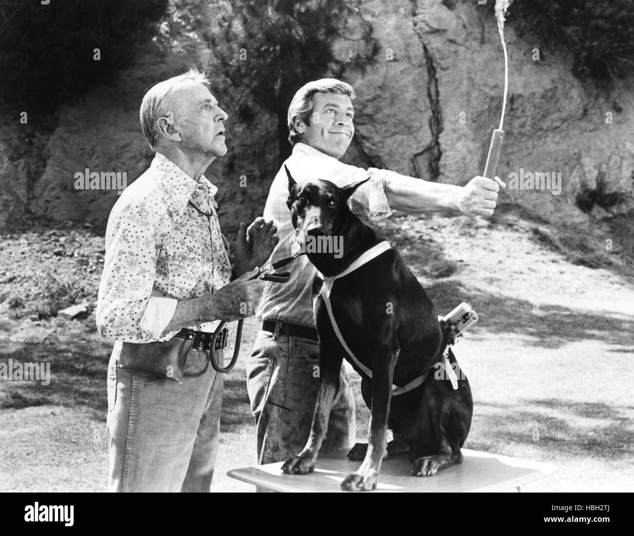 THE AMAZING DOBERMANS, from left: Fred Astaire, James Franciscus, 1976 ...