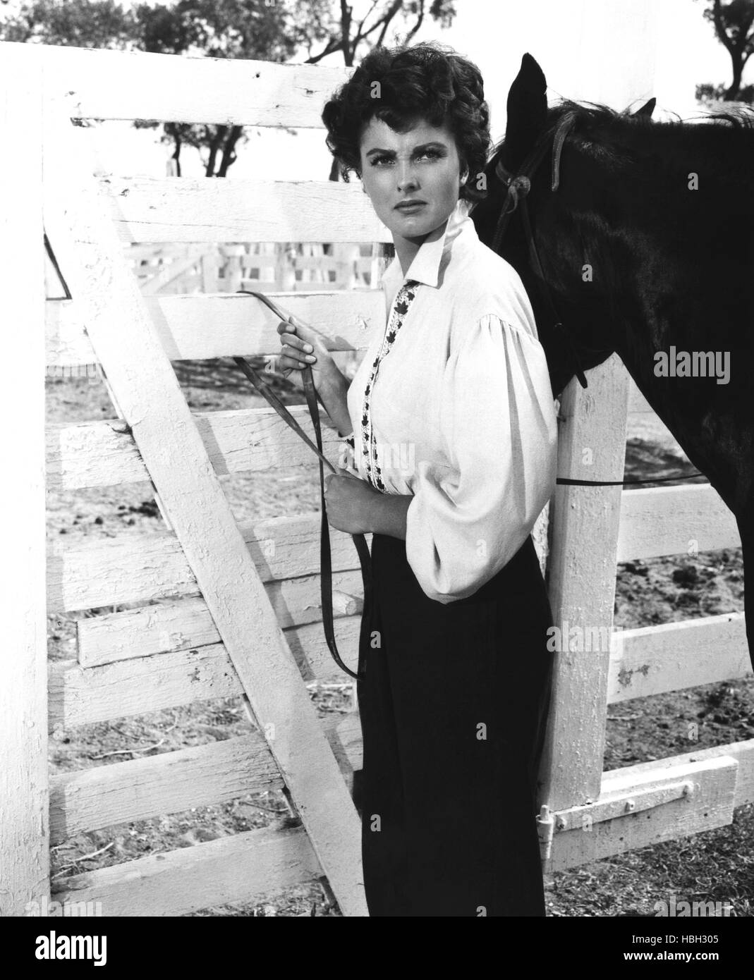 THE AMERICANO, Ursula Thiess, 1955 Stock Photo - Alamy