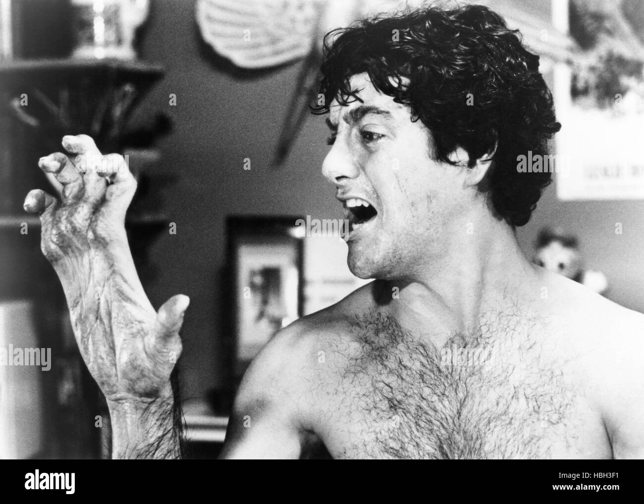 AN AMERICAN WEREWOLF IN LONDON, David Naughton, 1981. ©Universal ...