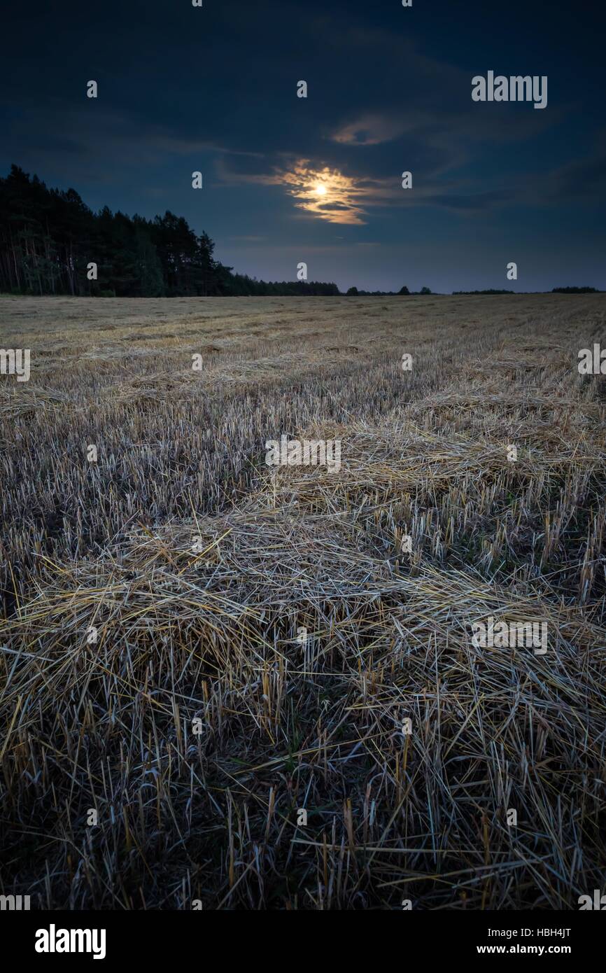 Field landscape under rising moon Stock Photo - Alamy