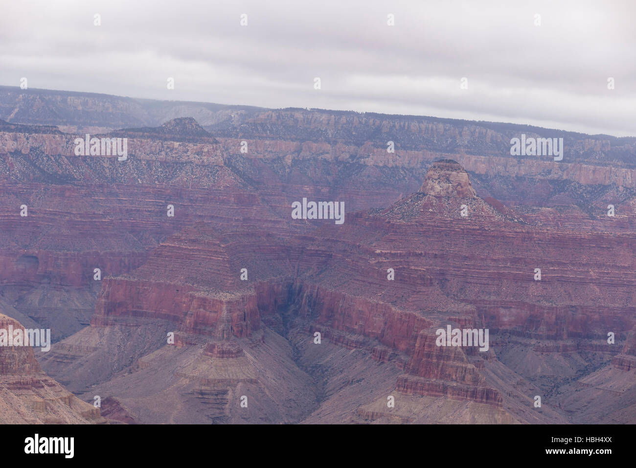 Grand Canyon National Park in Arizona, USA Stock Photo - Alamy