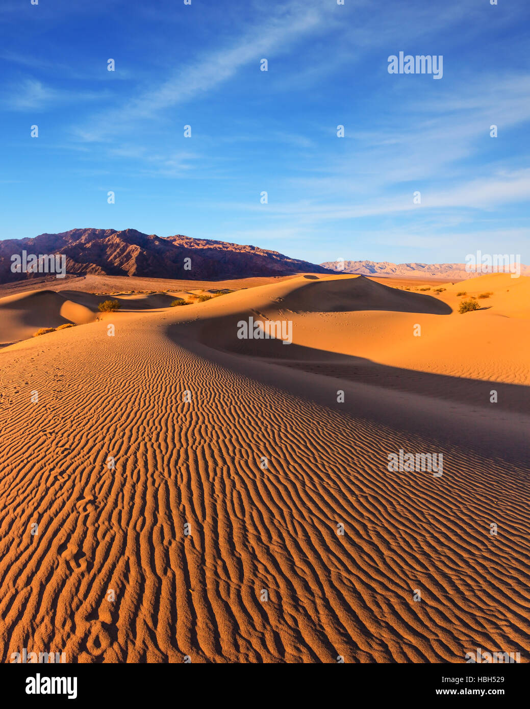 Sunrise in desert Stock Photo - Alamy