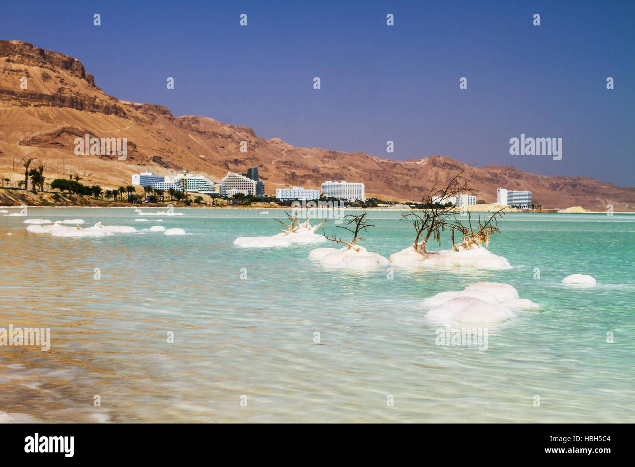 Beautiful coast of the Dead Sea Stock Photo - Alamy