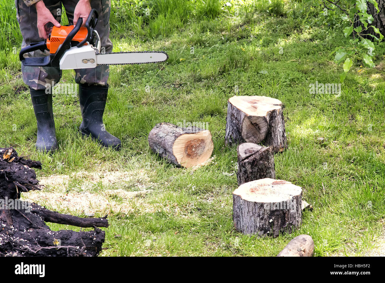 Man with trees hi-res stock photography and images - Alamy