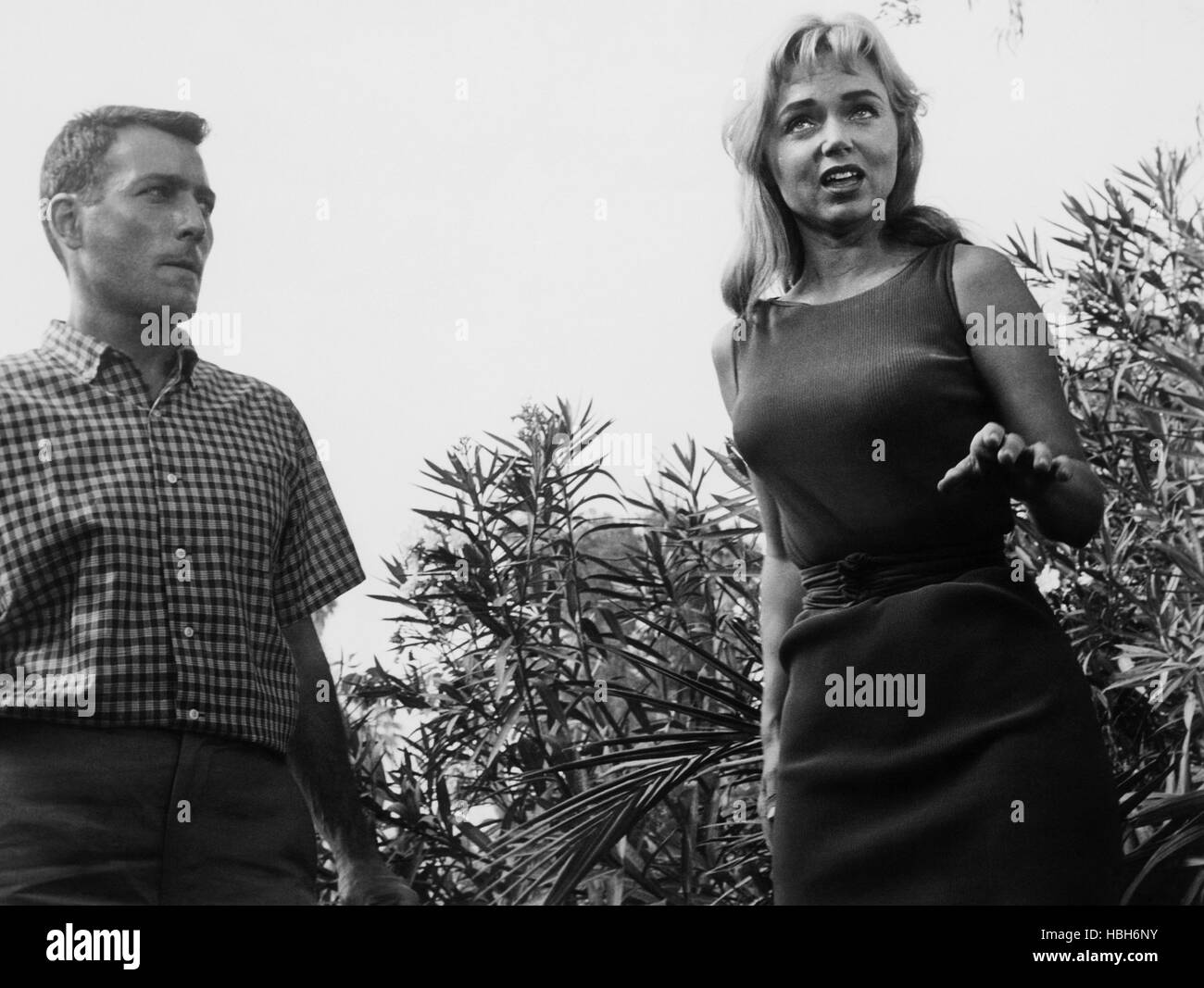 ATTACK OF THE GIANT LEECHES, Michael Emmet, Yvette Vickers, 1959 Stock ...