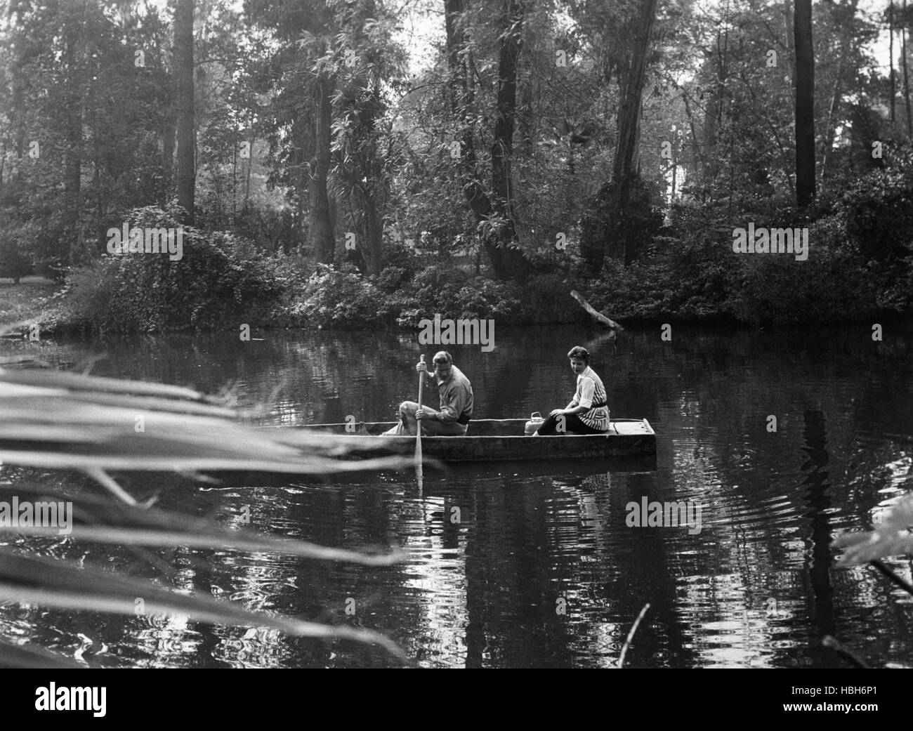 ATTACK OF THE GIANT LEECHES, Ken Clark, Nan Shepard, 1959 Stock Photo ...
