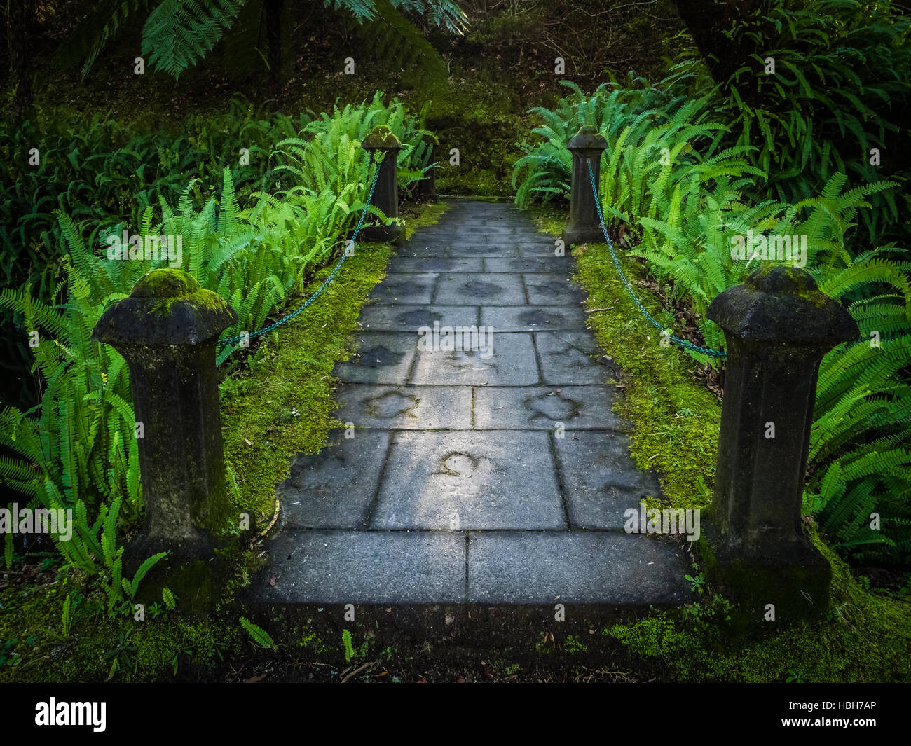 Small concrete bridge in park hi-res stock photography and images - Alamy