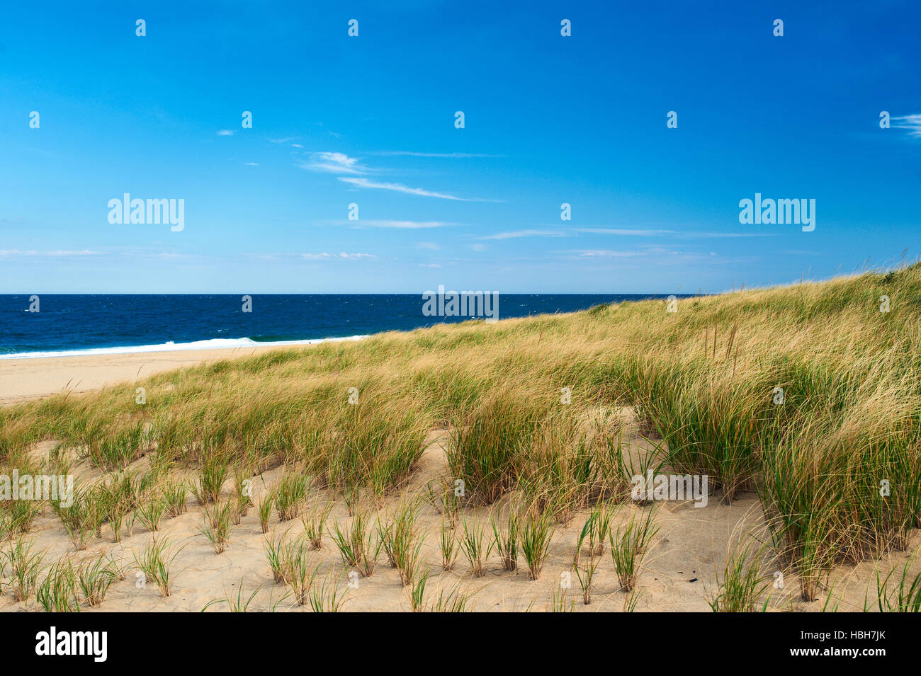 Landscape with sand dunes at Cape Cod Stock Photo - Alamy