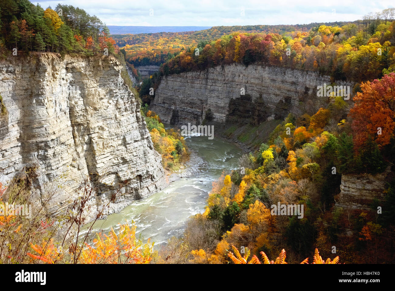 Autumn scene of river and forest Stock Photo - Alamy