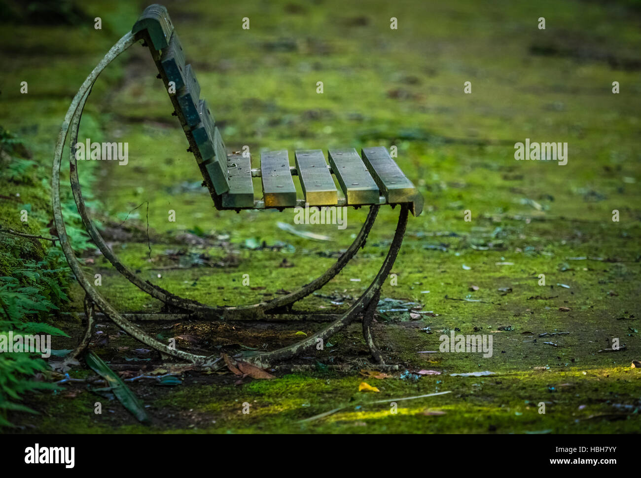 Empty bench in a park Stock Photo - Alamy