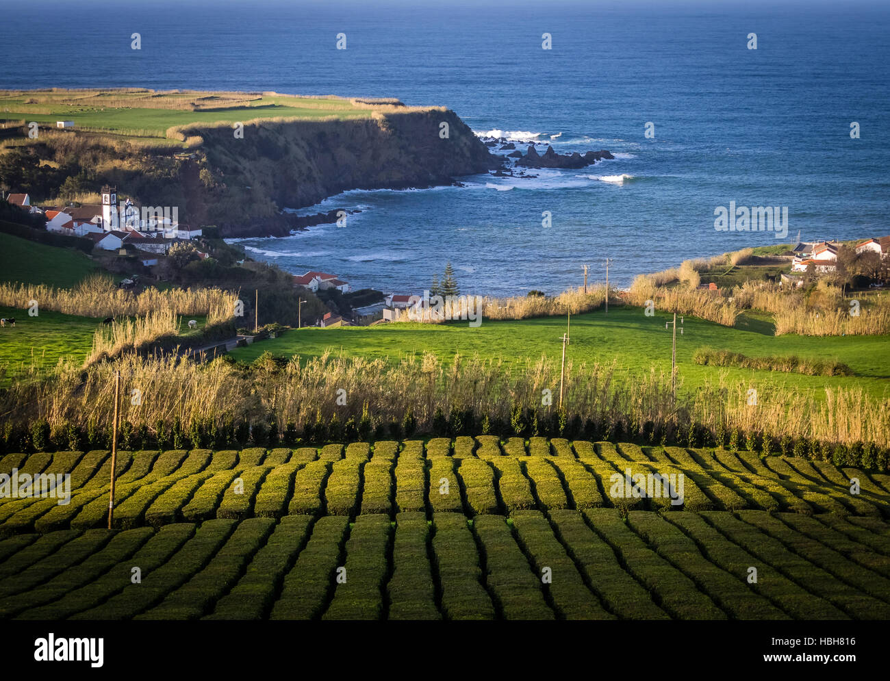 Azorean houses hi-res stock photography and images - Alamy