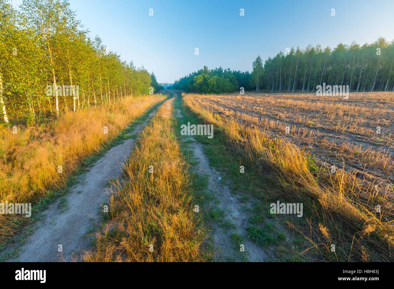 Sunrise landscape with sandy road Stock Photo - Alamy