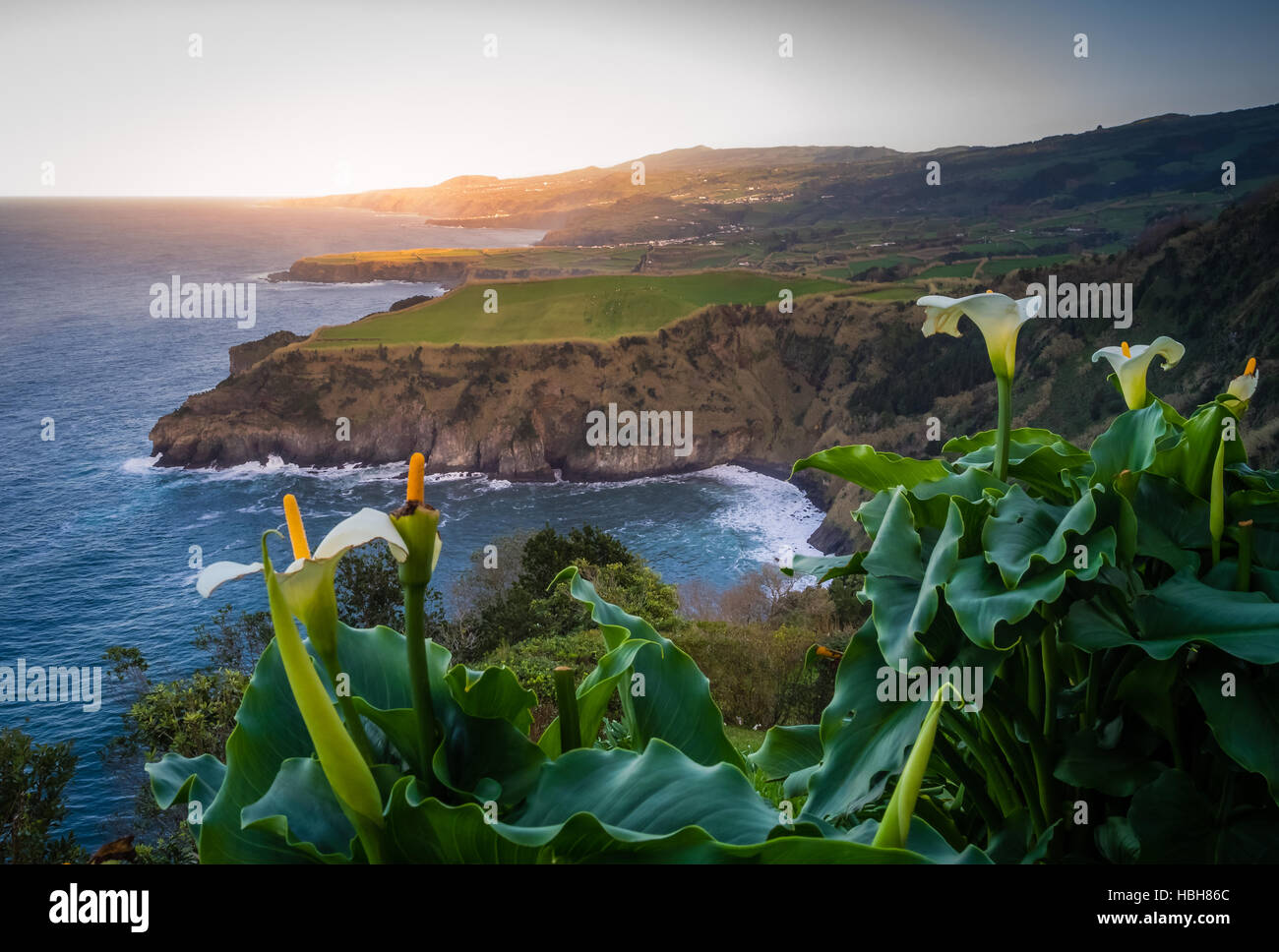 Sao miguel acores azores azoren landscape hi-res stock photography and ...