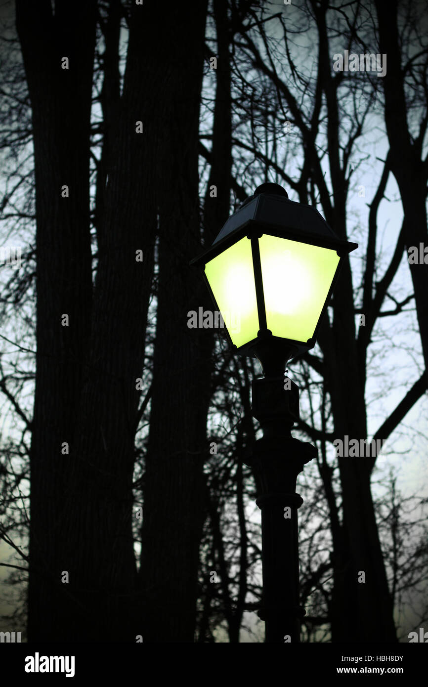 Street light and silhouettes of trees Stock Photo - Alamy
