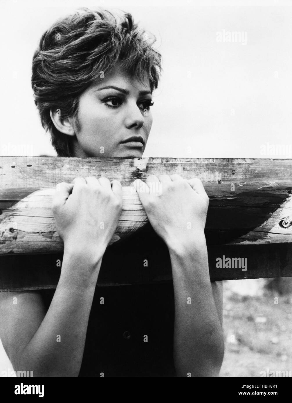 BEBO'S GIRL, Claudia Cardinale, 1964 Stock Photo - Alamy