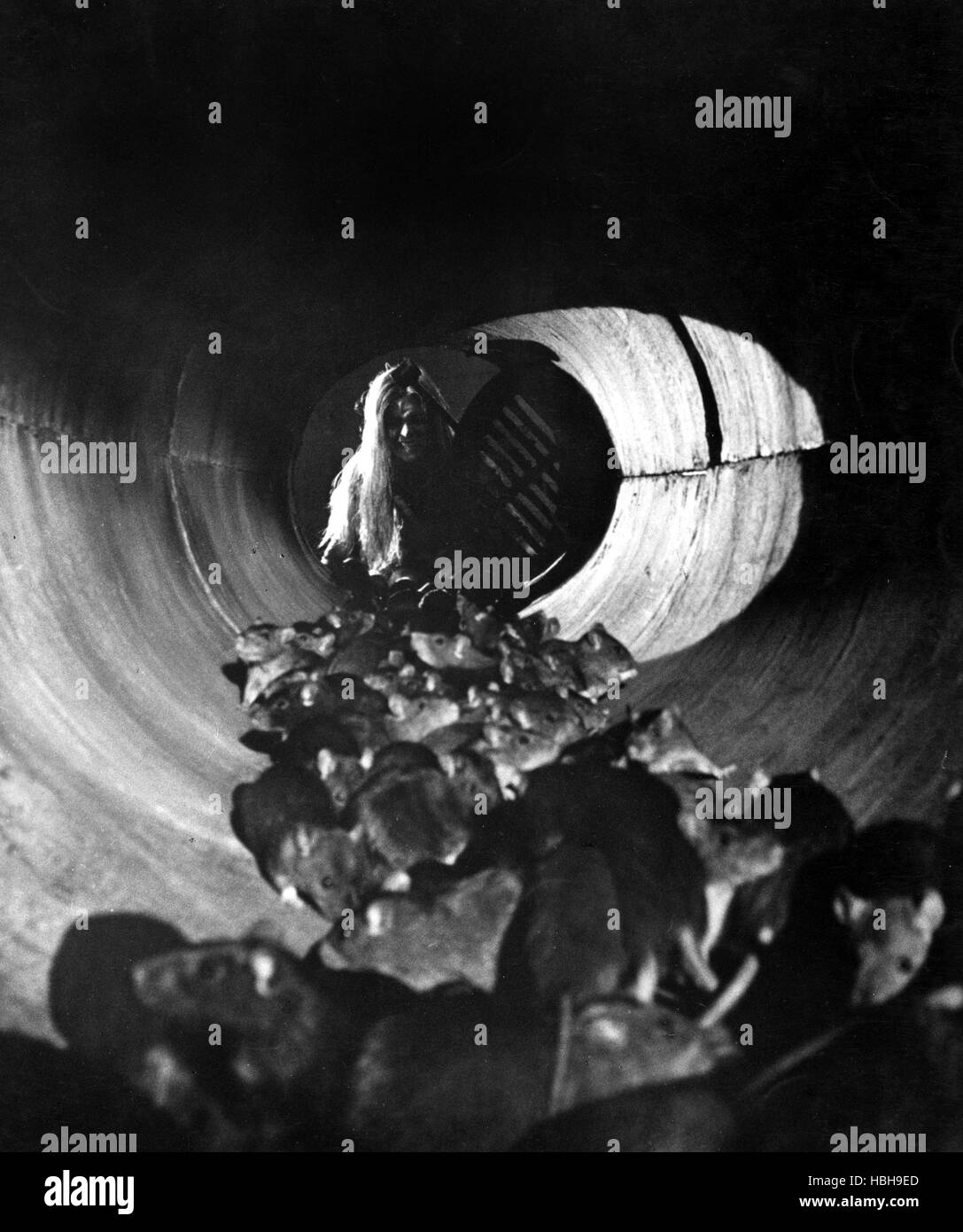 BEN, Meredith Baxter Birney, 1972 Stock Photo - Alamy