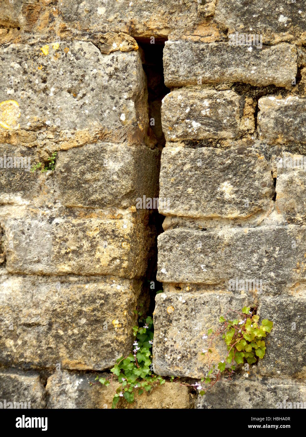Arrow slit in medieval wall Stock Photo - Alamy