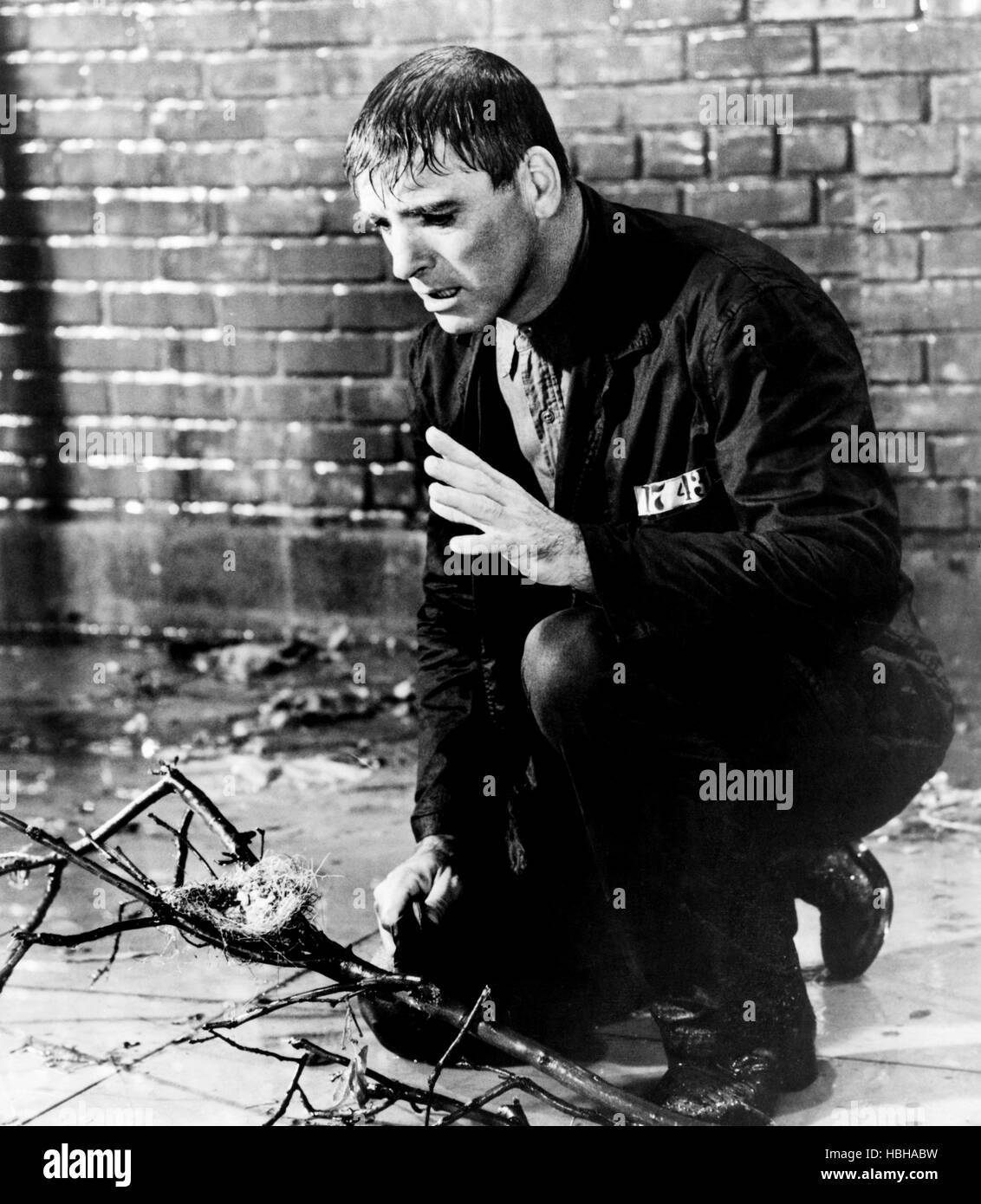 BIRDMAN OF ALCATRAZ, Burt Lancaster, 1962 Stock Photo - Alamy