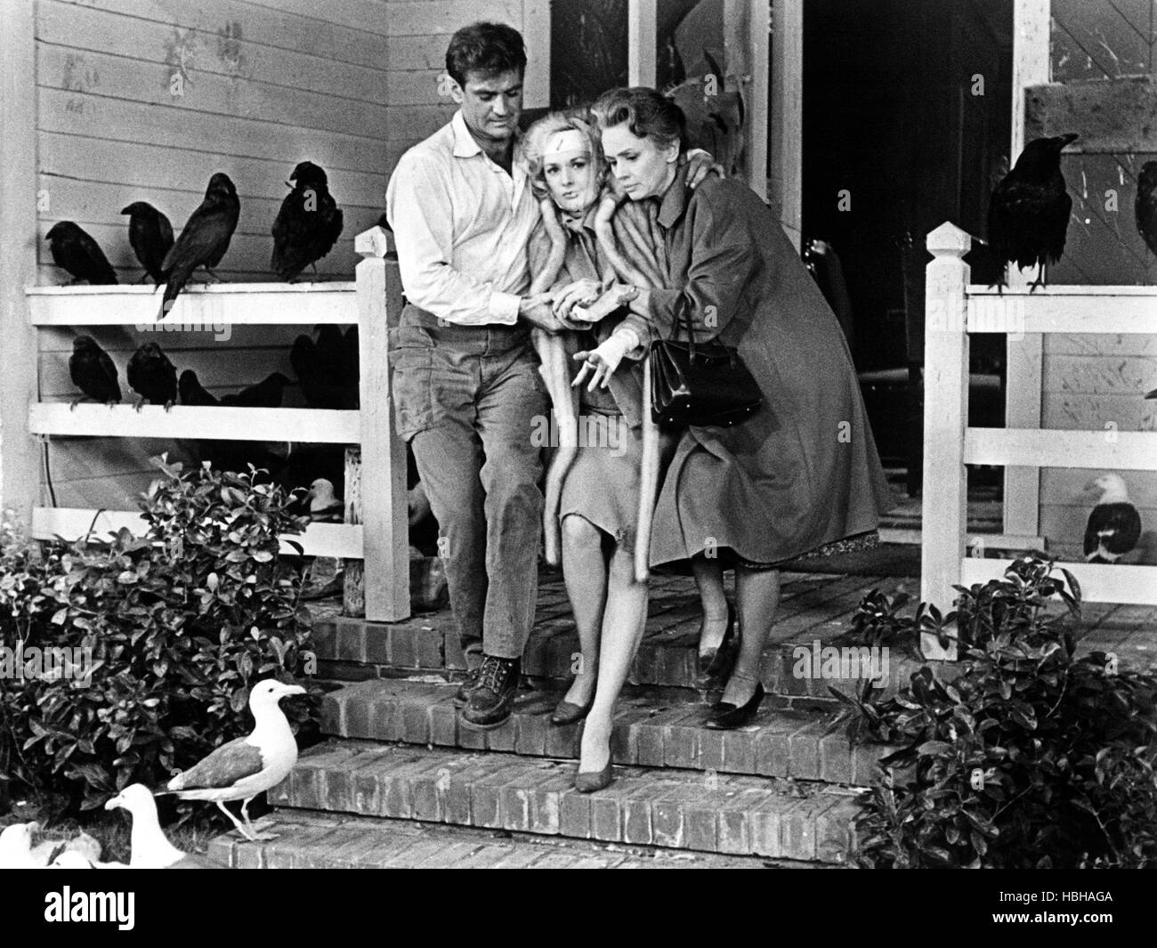 THE BIRDS, Rod Taylor, Tippi Hedren, Jessica Tandy, 1963 Stock Photo ...