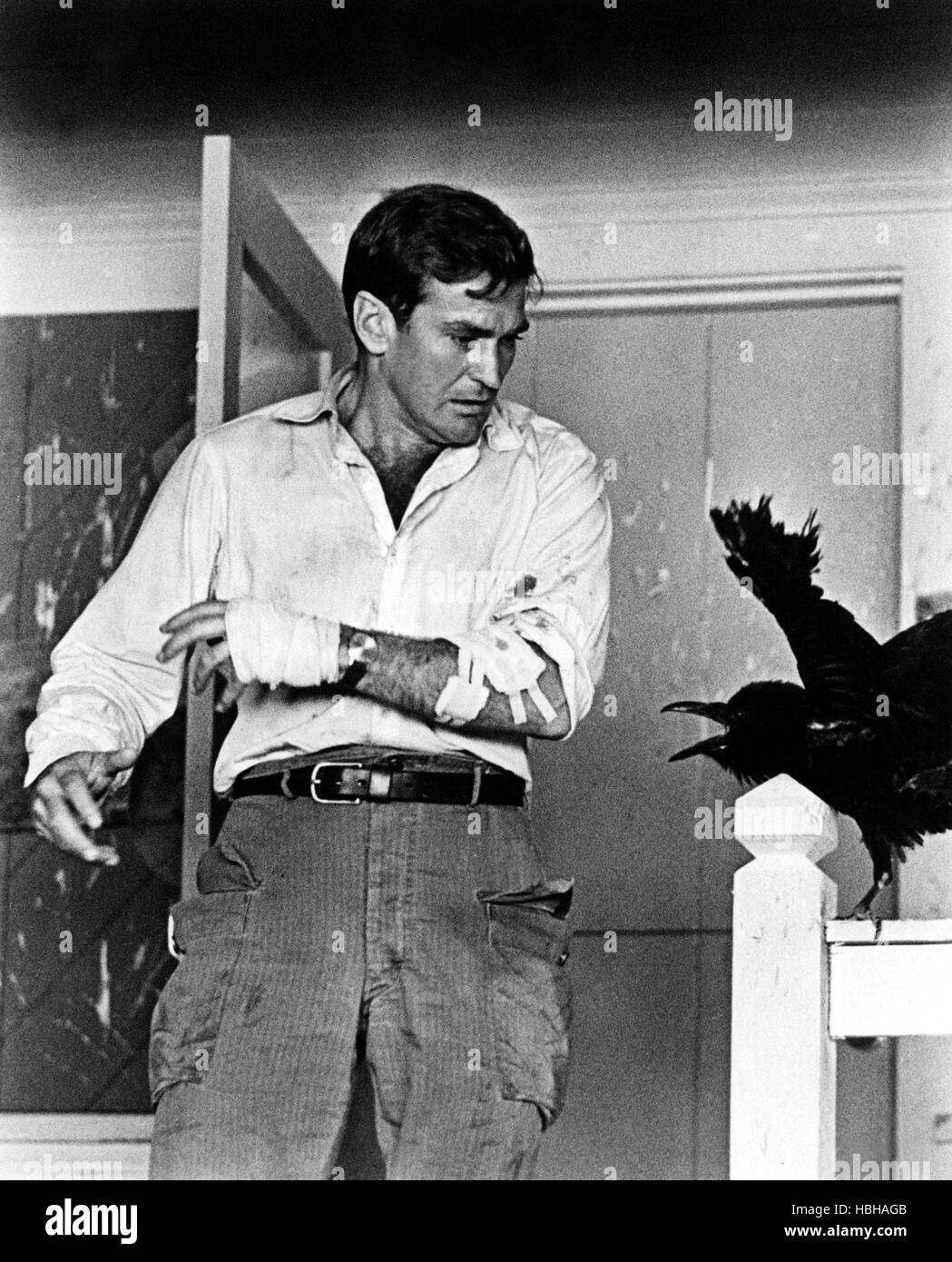 THE BIRDS, Rod Taylor, 1963 Stock Photo - Alamy