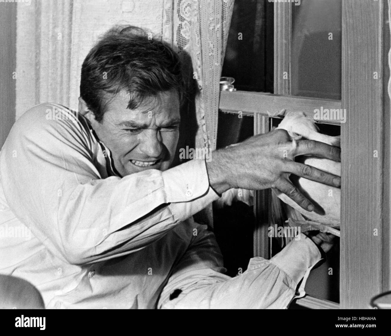 THE BIRDS, Rod Taylor, 1963 Stock Photo - Alamy