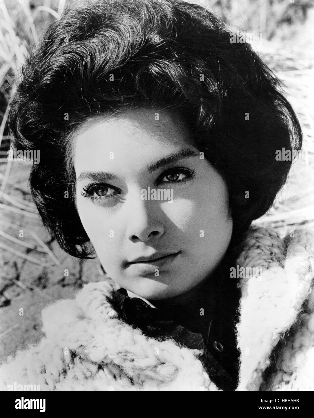 The Birds Suzanne Pleshette 1963 Stock Photo Alamy