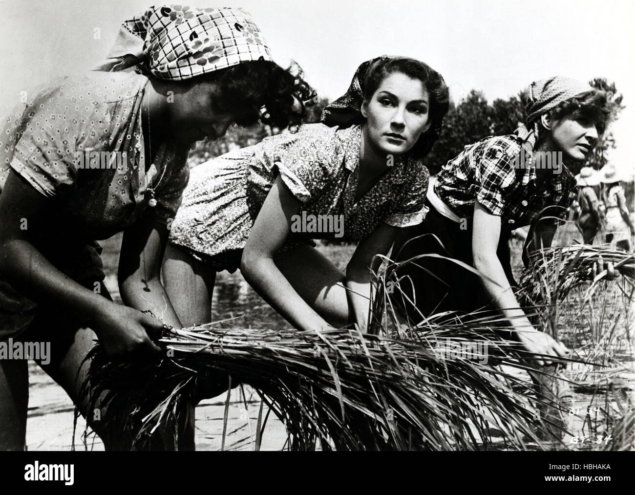 BITTER RICE, (aka RISO AMARO), Doris Dowling, 1949 Stock Photo - Alamy