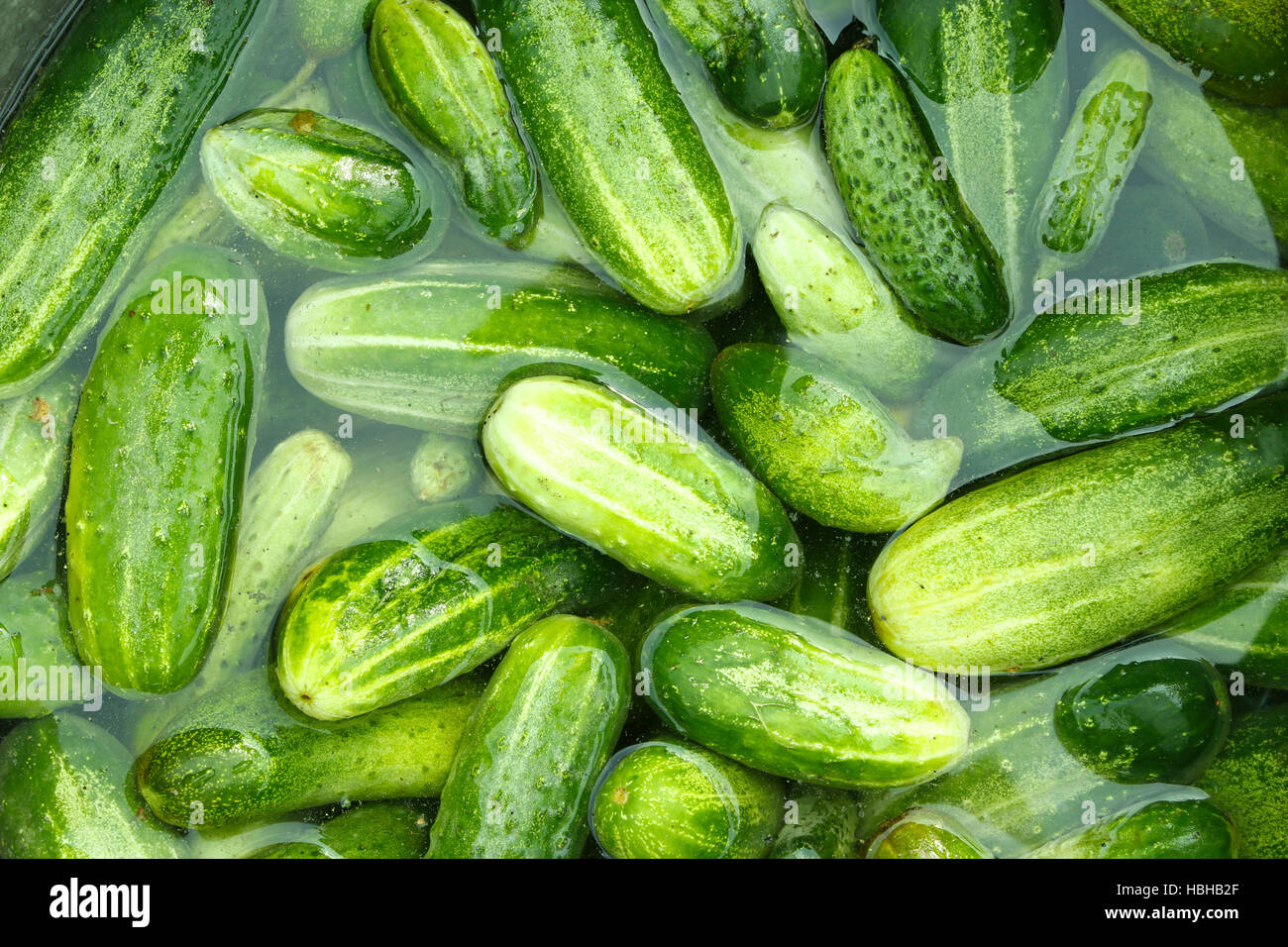 Preservation process hi-res stock photography and images - Alamy