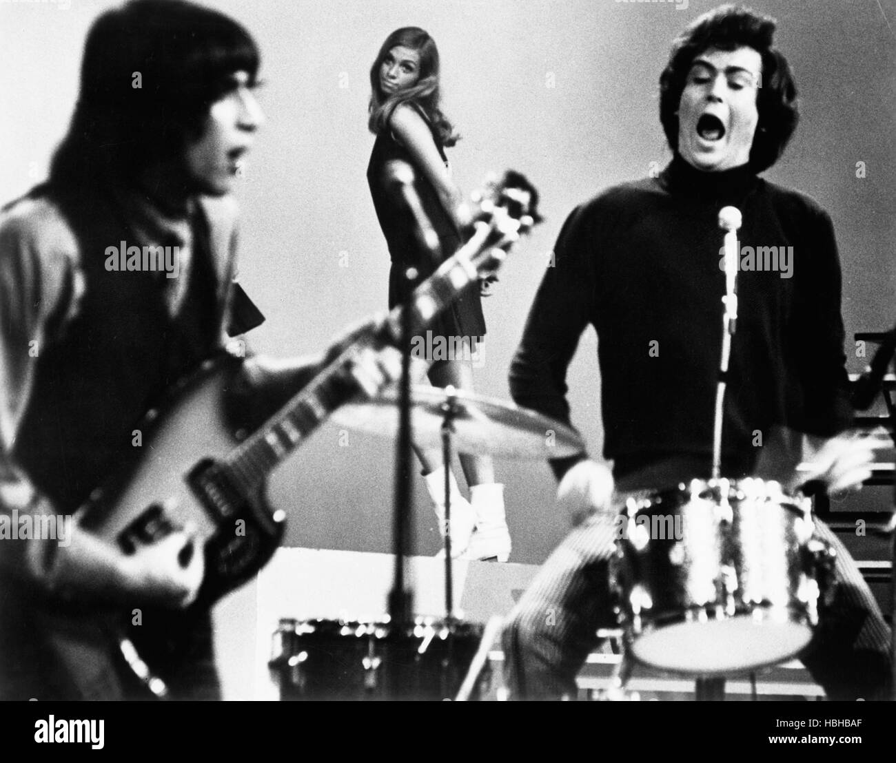 THE BIG T.N.T. SHOW, The Lovin' Spoonful, Zal Yanofsky, Joe Butler ...