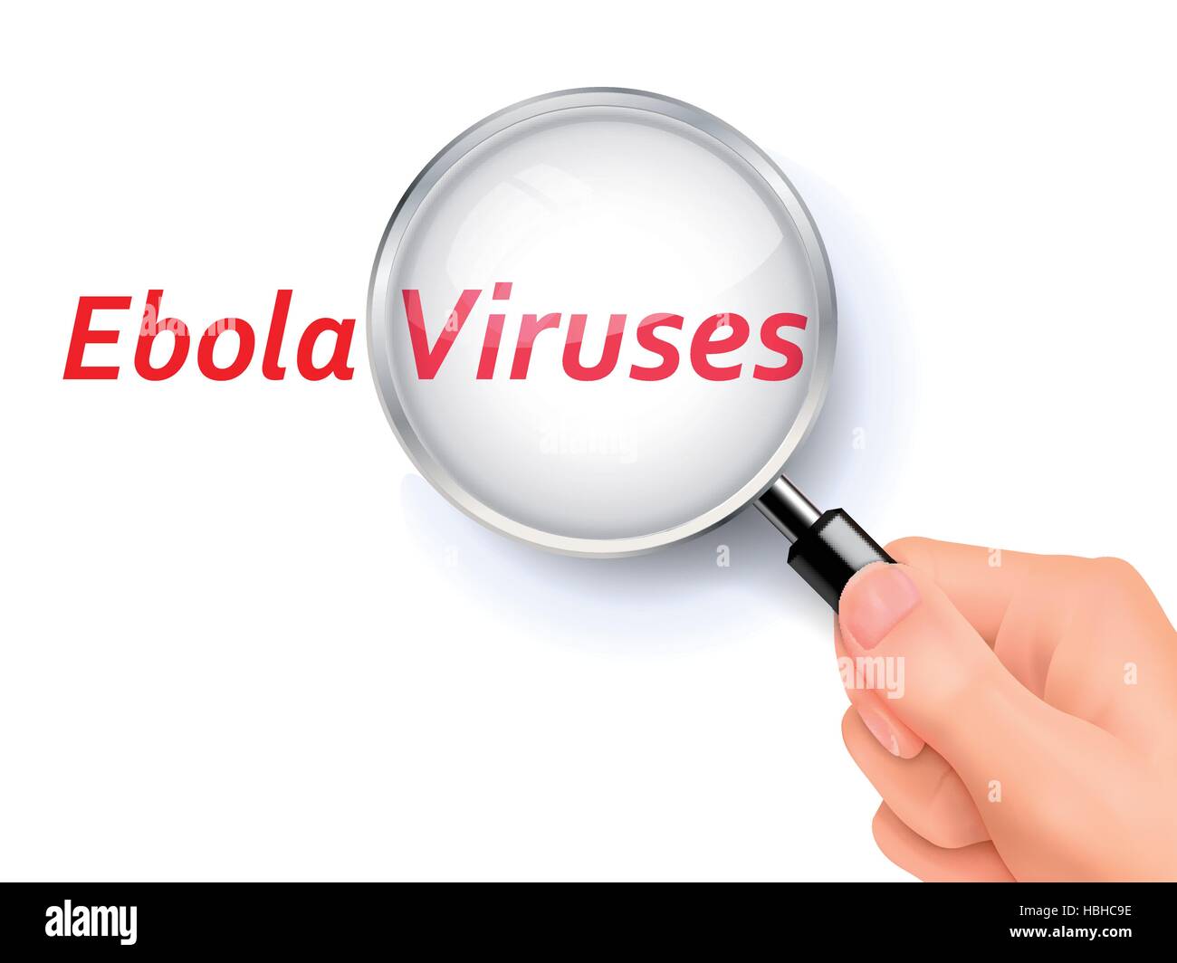Ebola viruses word showing through magnifying glass held by hand Stock ...
