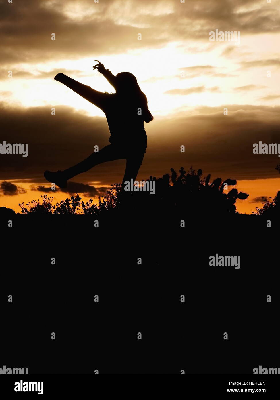 girl jumping silhouette Stock Photo - Alamy