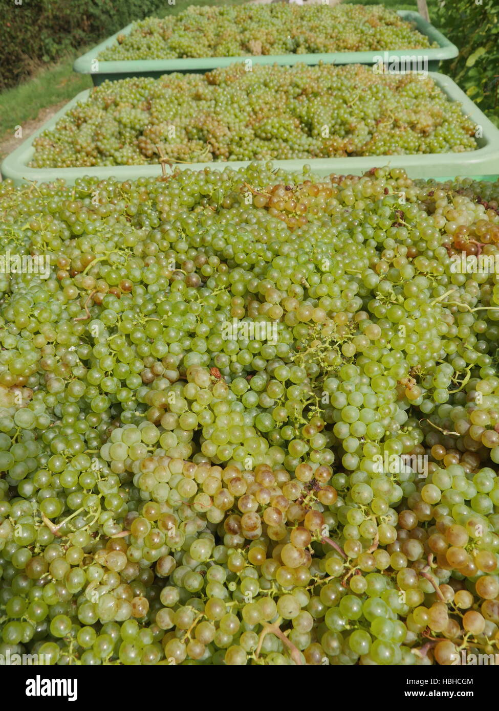 Farming equipment containers hi-res stock photography and images - Alamy